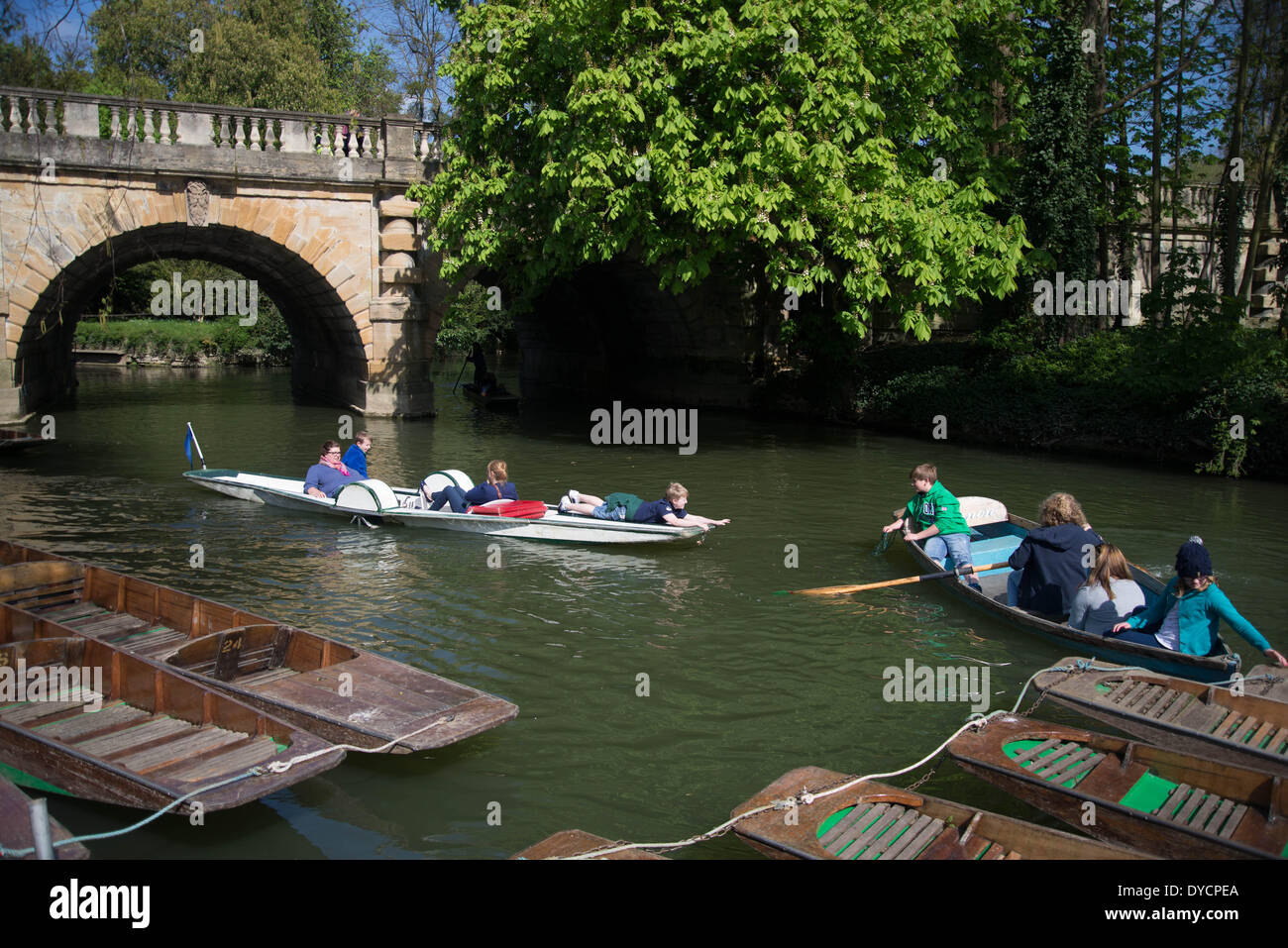 Klint janulis hi-res stock photography and images - Alamy
