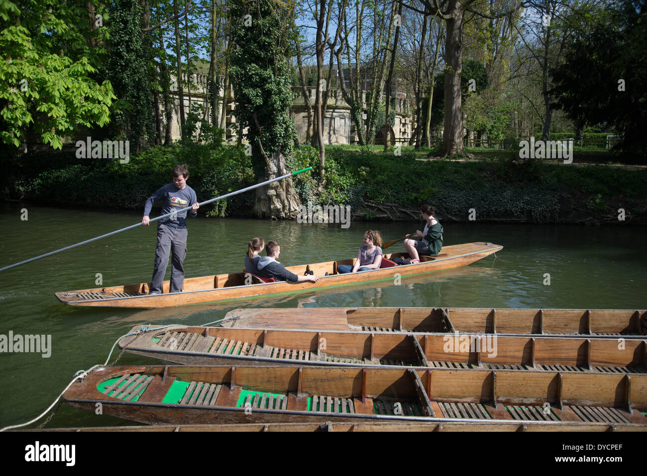 Klint janulis hi-res stock photography and images - Alamy