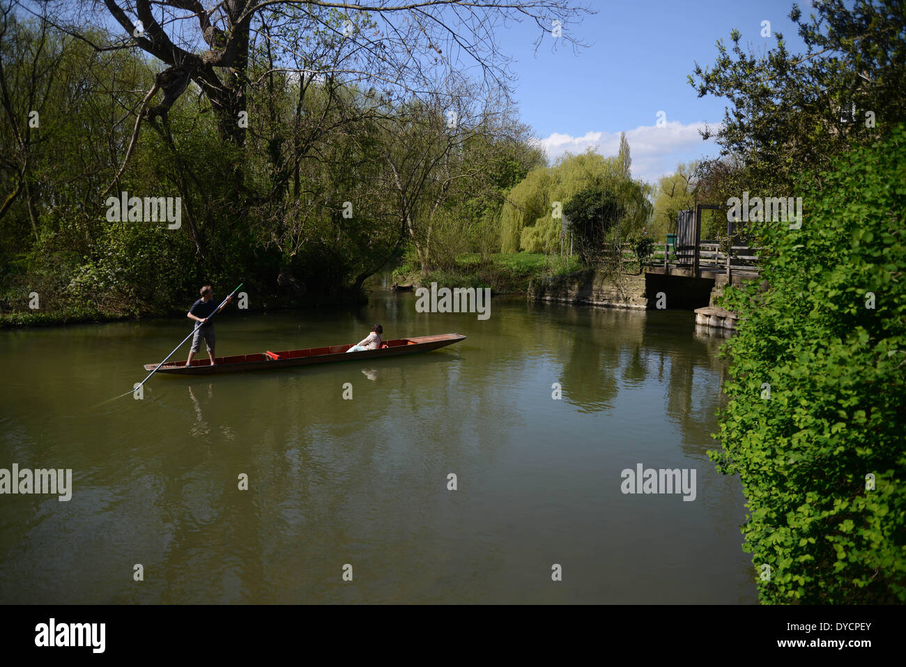 Klint janulis hi-res stock photography and images - Alamy