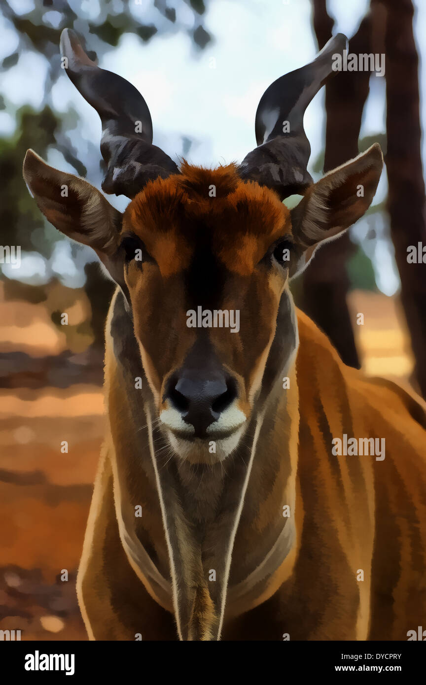 Antelope illustrations hi-res stock photography and images - Alamy