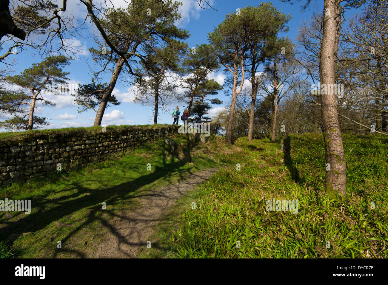 Hadrian's Wall and path Stock Photo - Alamy