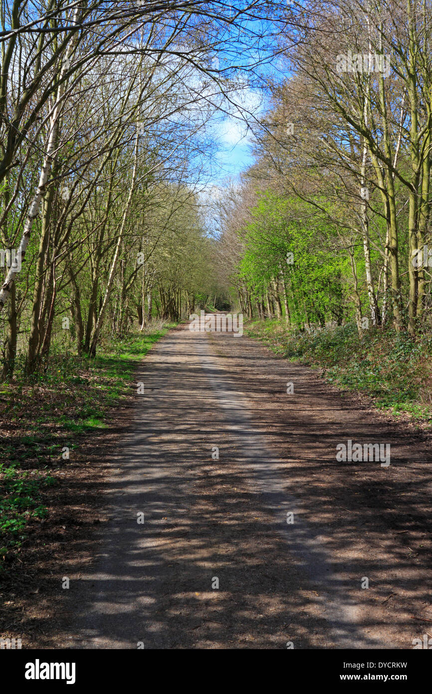 The Trans Pennine Trail, Upper Don Trail, Wortley, Barnsley, South ...