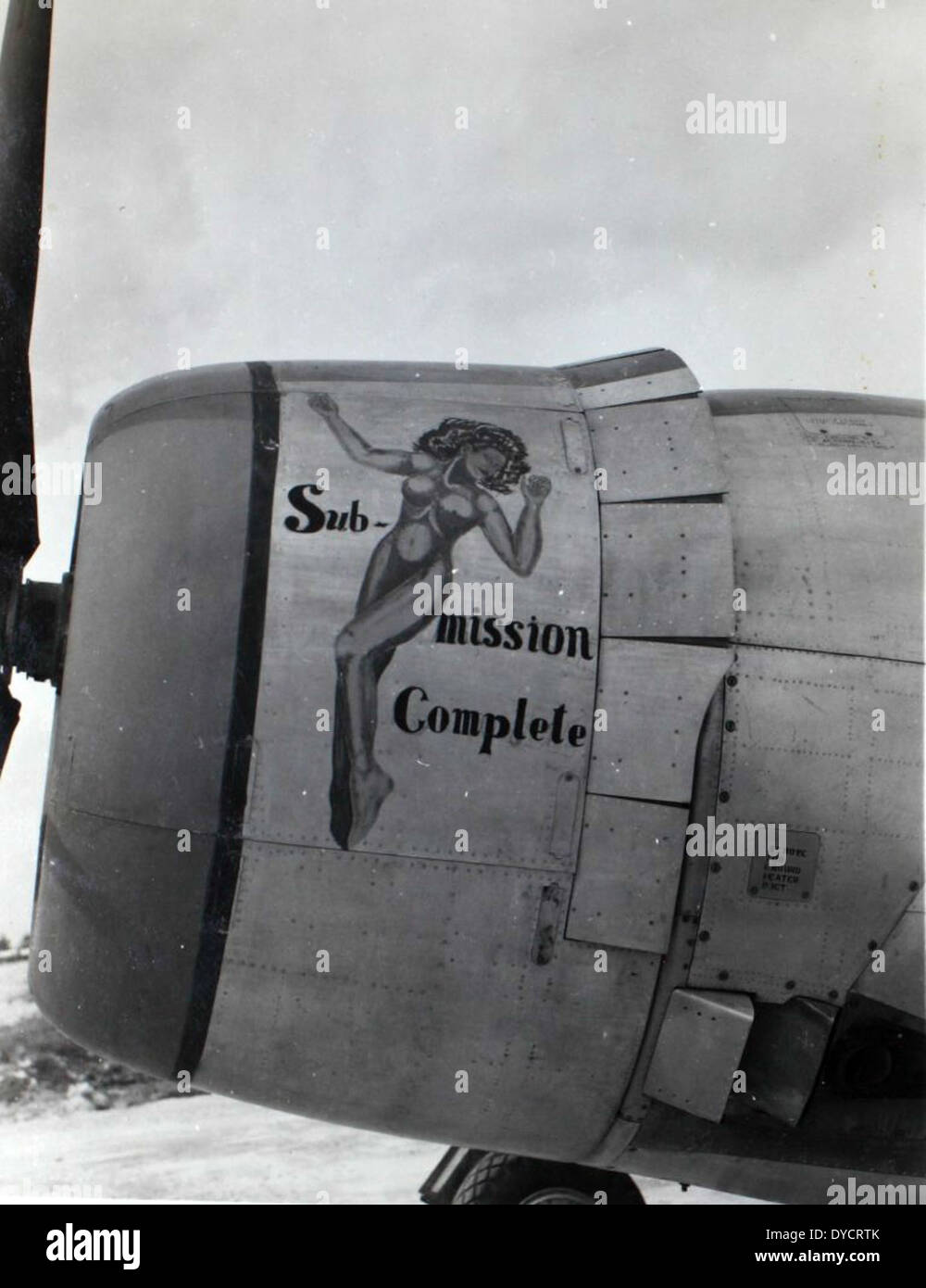 464thfightersquadron hi-res stock photography and images - Alamy