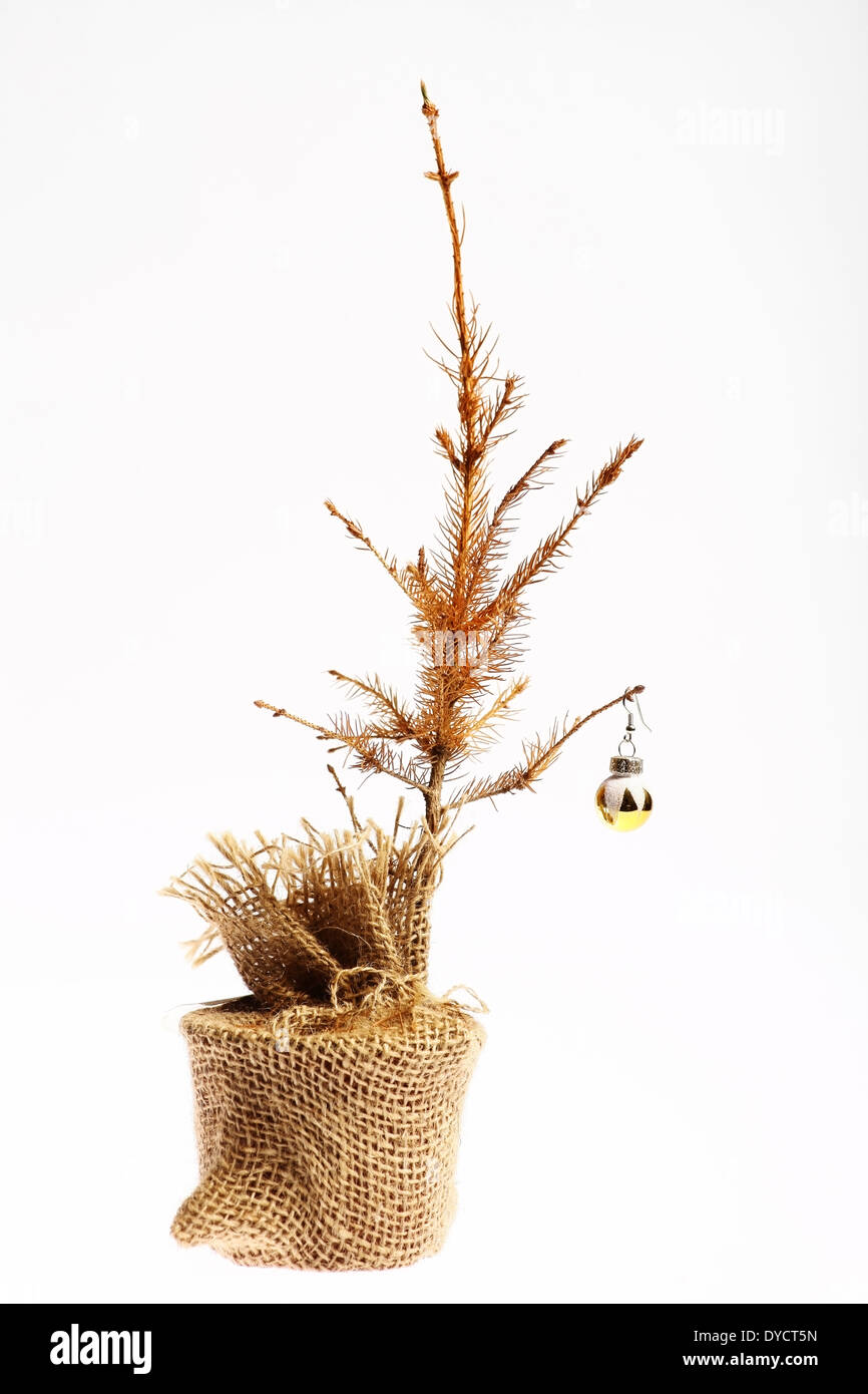 Sad christmas tree hi-res stock photography and images - Alamy