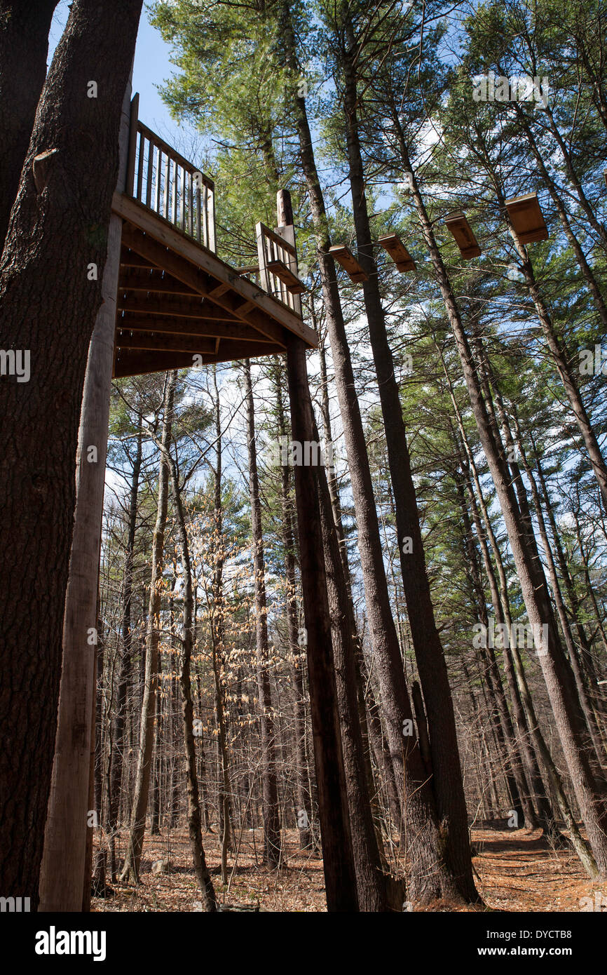 North Adams (Massachusetts) Downing Memorial High Rope Course has a ...