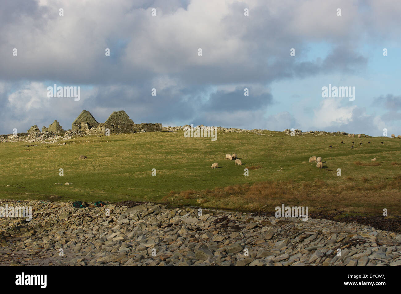 Old croft shetland hi-res stock photography and images - Alamy