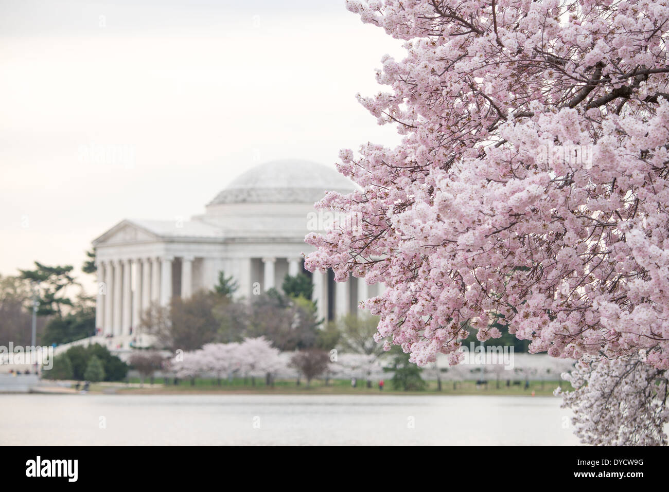 Best time visit washing hi-res stock photography and images - Alamy