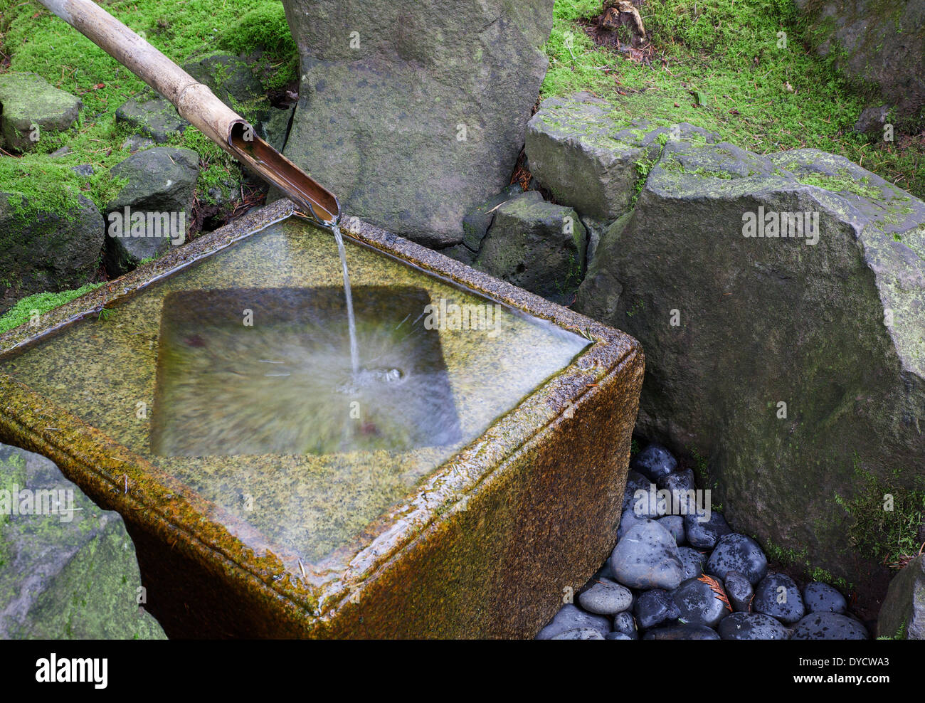 Water Fountain In Japanese Translation at Jay Estes blog