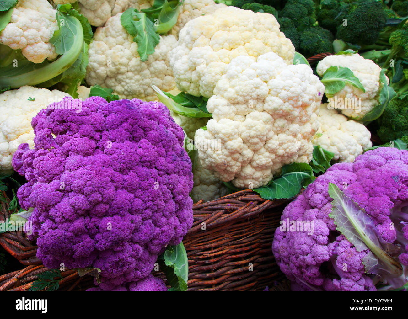 Cauliflower Images