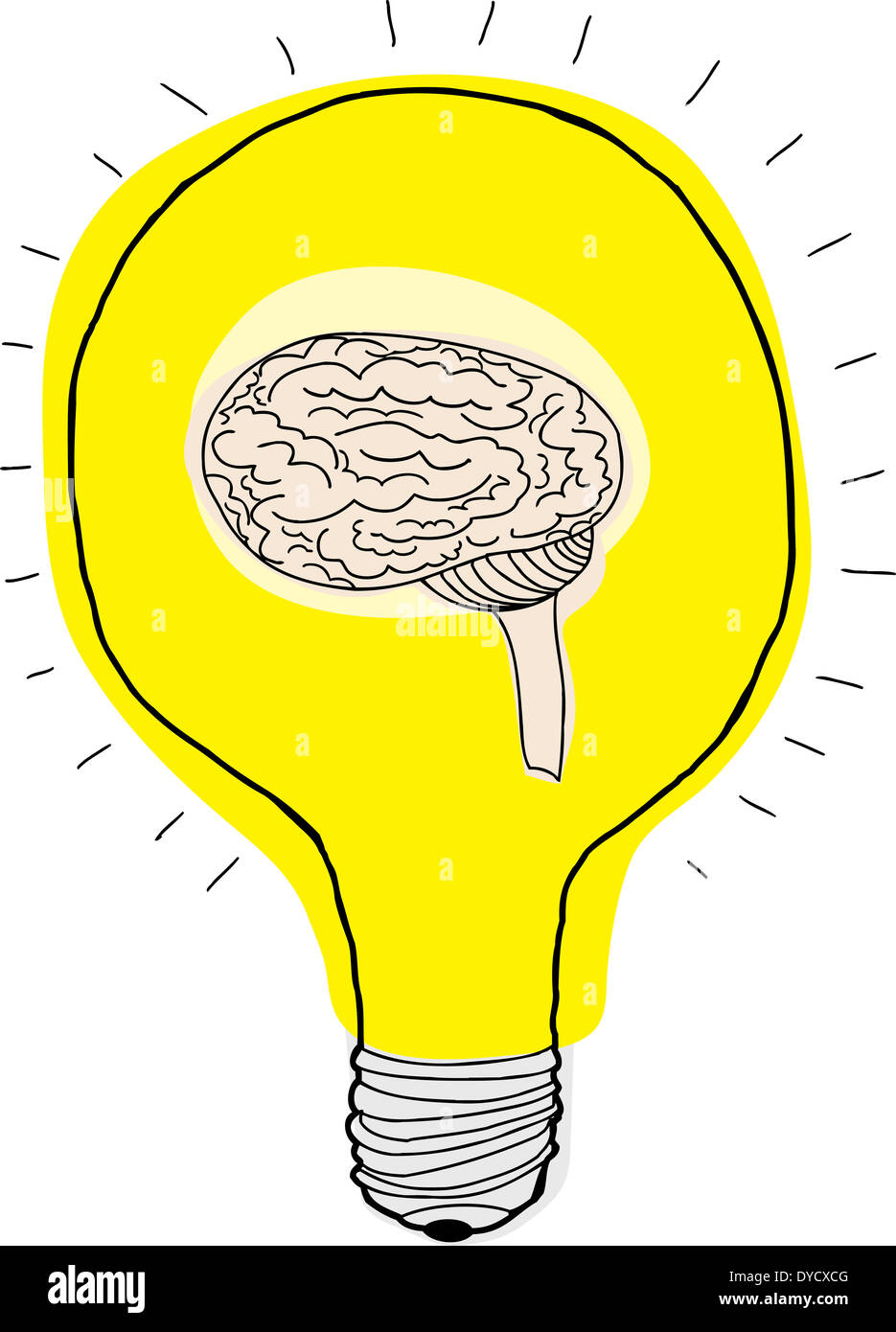Human brain inside light bulb over white background Stock Photo - Alamy