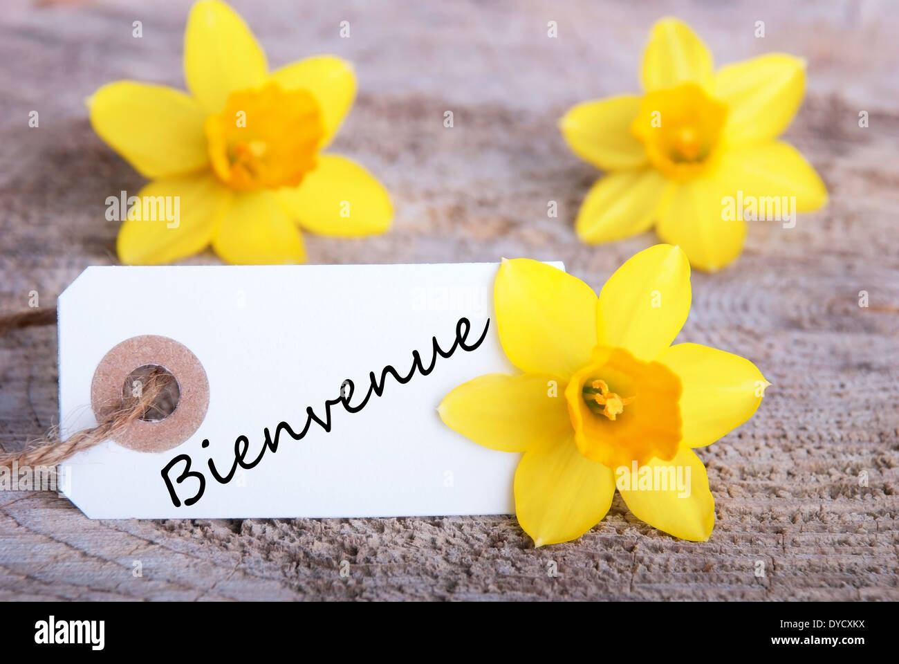 A Banner with the French Word Bienvenue which means Welcome and ...