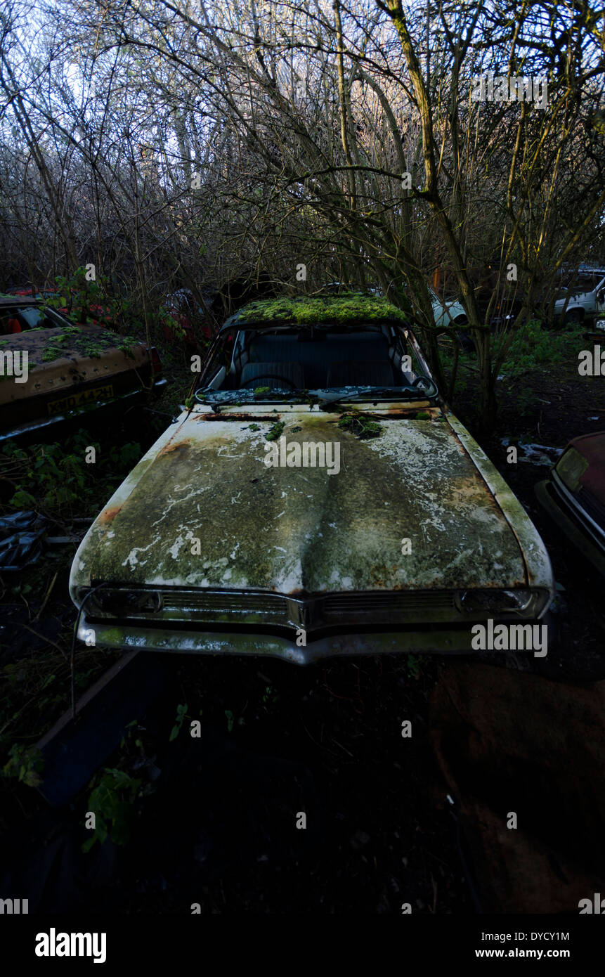 Abandoned car, left to rot Stock Photo - Alamy