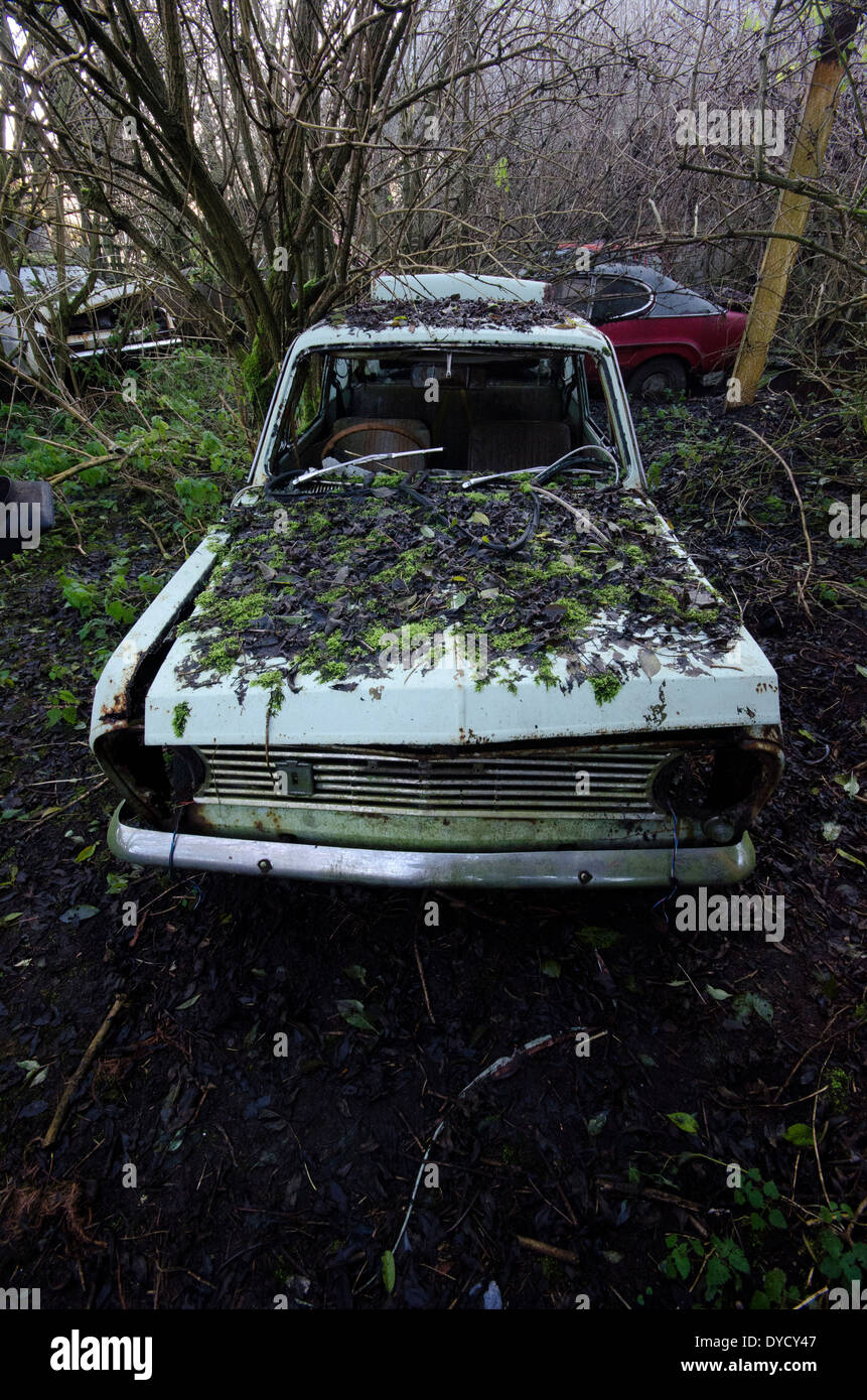 Abandoned car, left to rot Stock Photo - Alamy