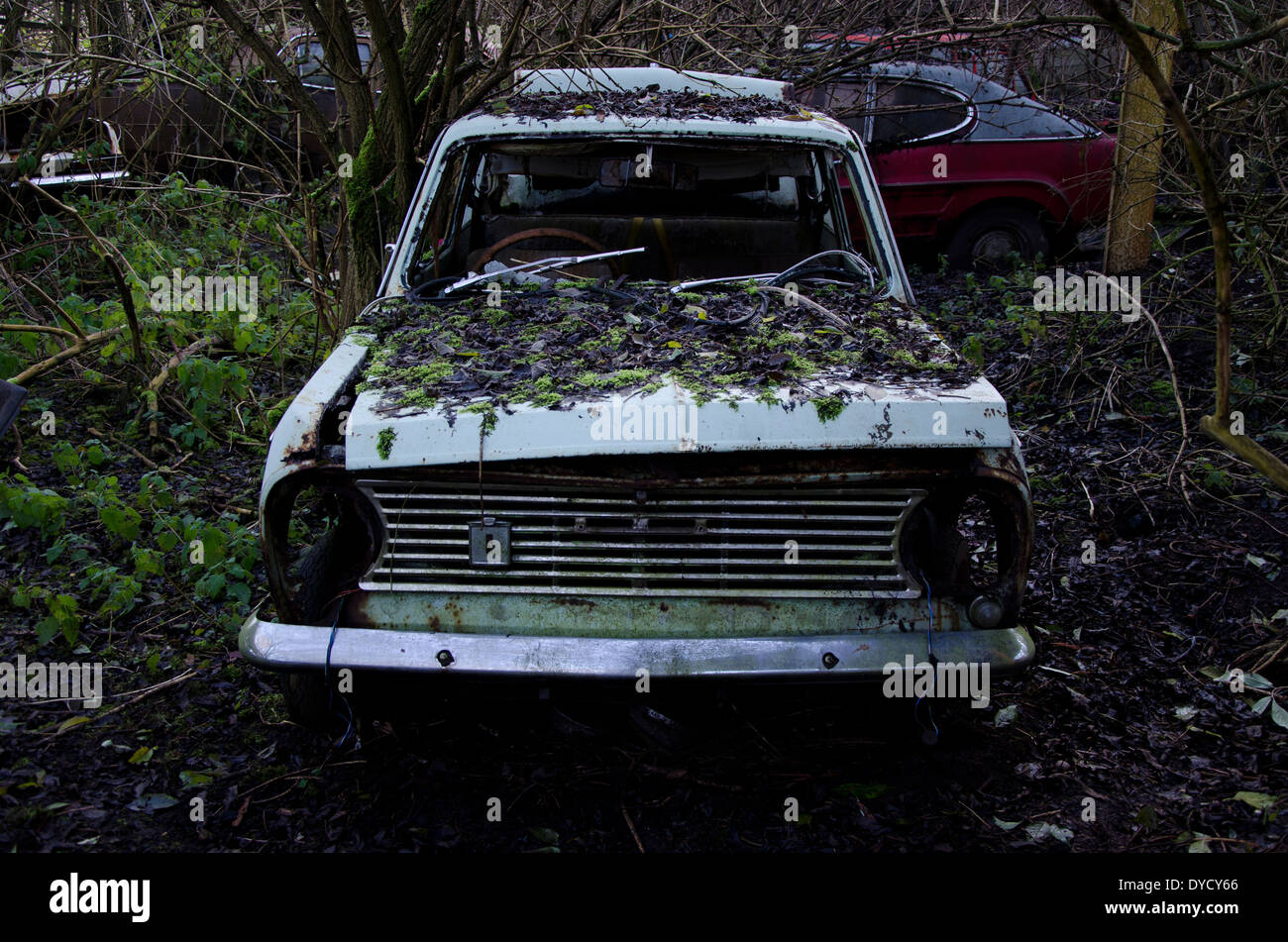Abandoned car, left to rot Stock Photo - Alamy
