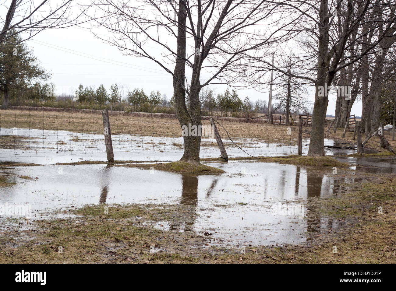 Wet farm field hi-res stock photography and images - Alamy