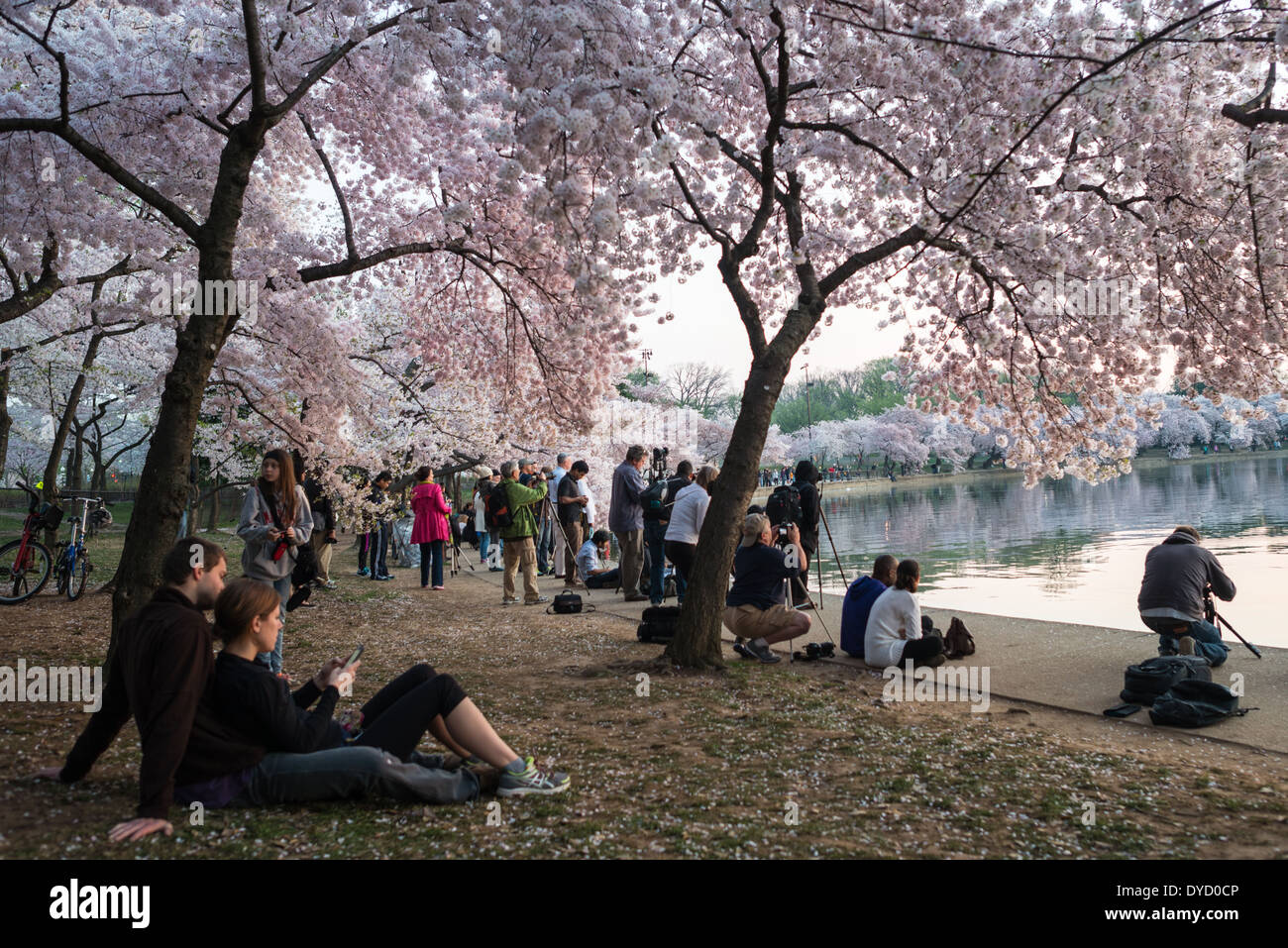 Crowds visitors gather in hi-res stock photography and images - Alamy
