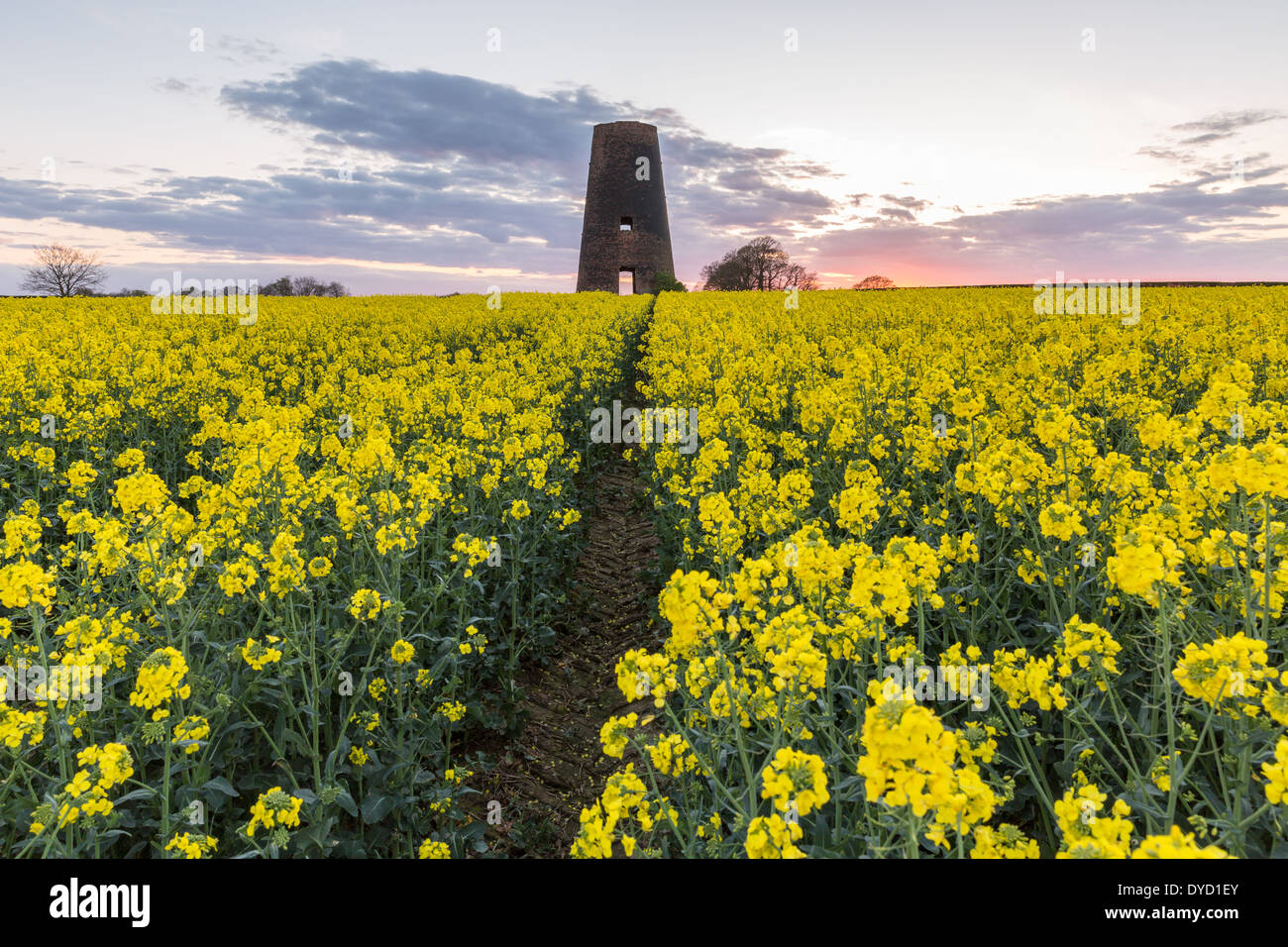 Yellow windmill hi-res stock photography and images - Alamy