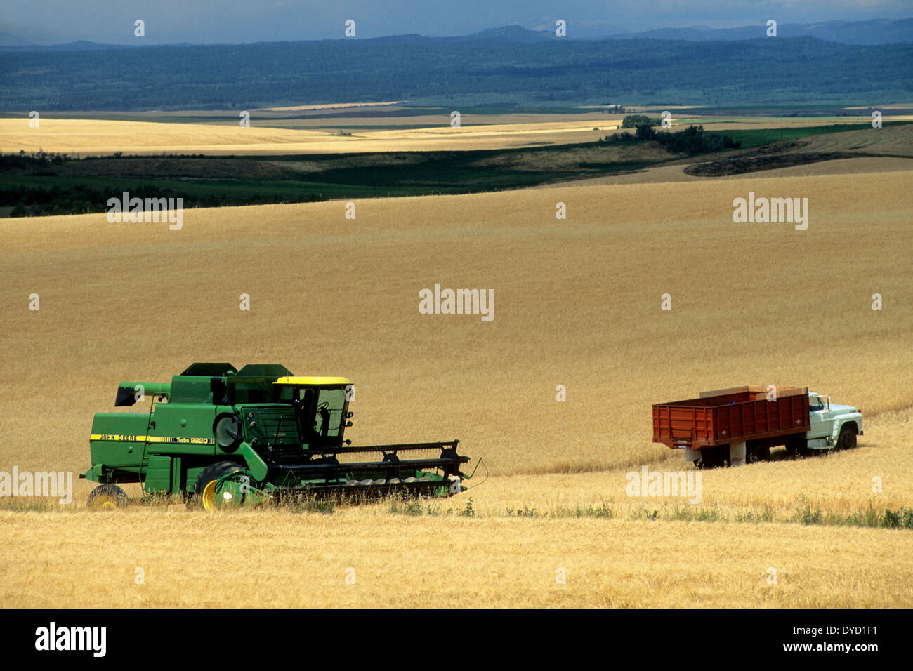 Winnowing barley hi-res stock photography and images - Alamy