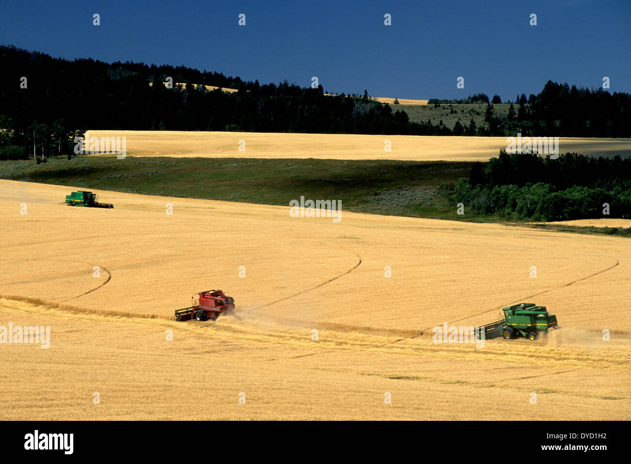 Winnowing barley hi-res stock photography and images - Alamy