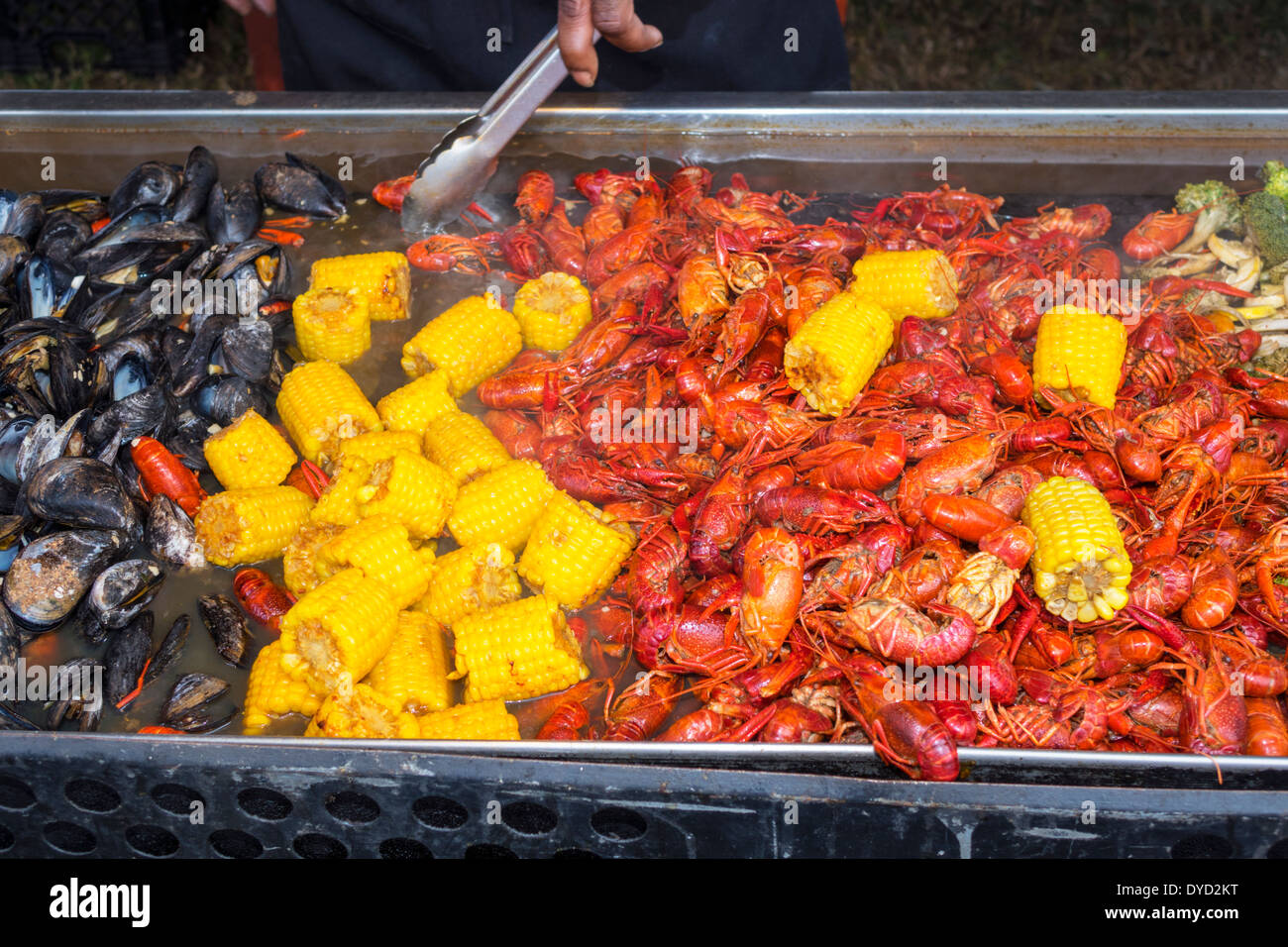 Everglades City Florida,Seafood Festival,crawfish,corn on cob,mussel ...