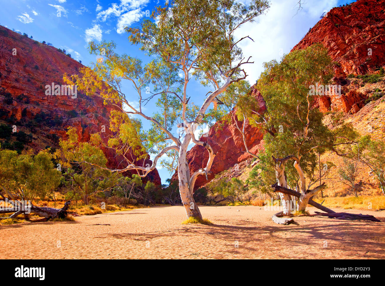outback landscape dry arid desert Simpson's Gap water hole creek bed ...