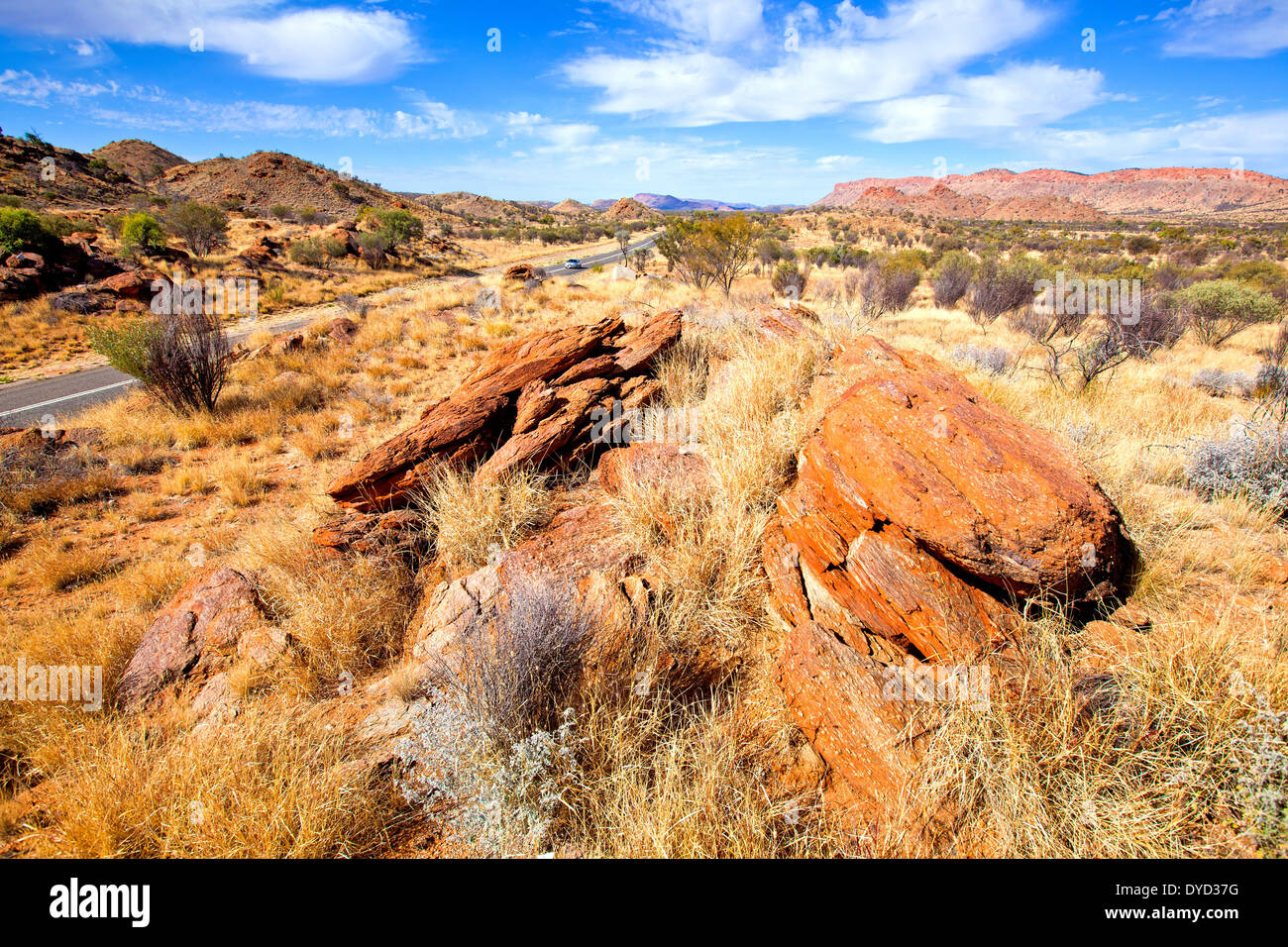 Burt plain hi-res stock photography and images - Alamy