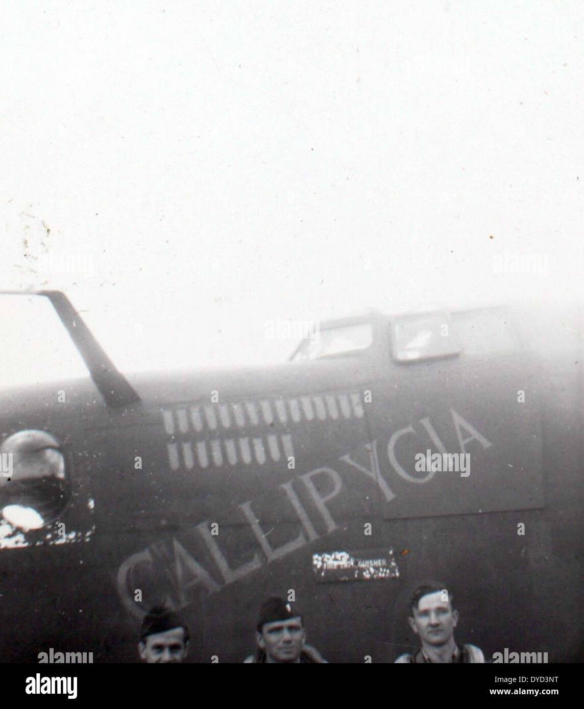 AL-41 Gotwalt Photo 00069 Stock Photo - Alamy