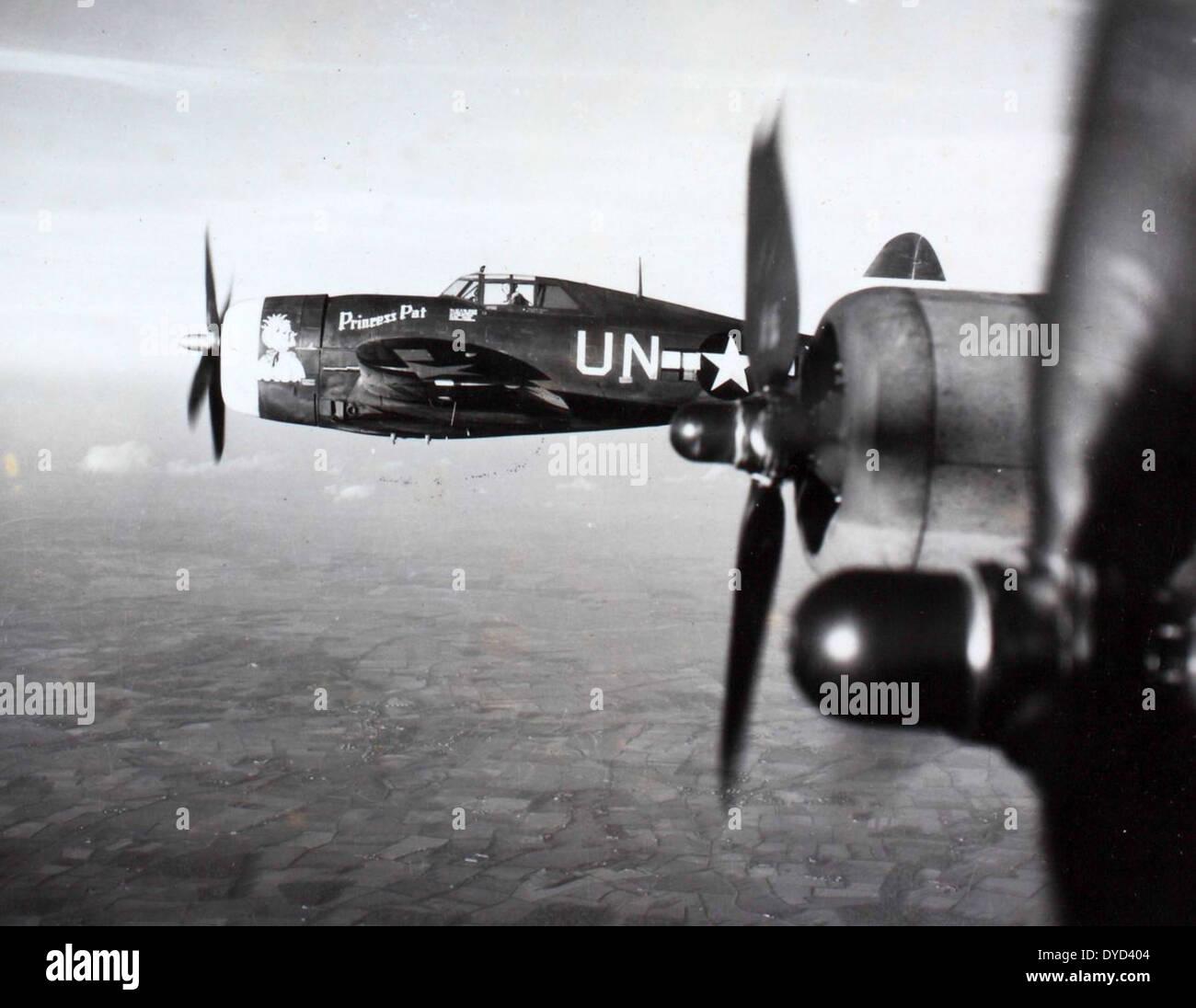 This image shows the B-24 Liberator from the 389th Bomb Group, part of ...