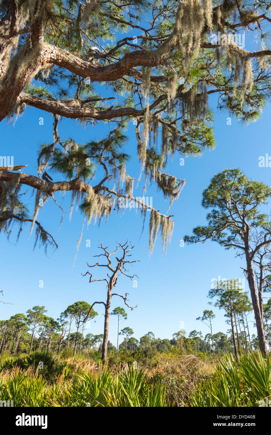 Florida Port Charlotte Harbor,Placida,Don Pedro Island State Park ...
