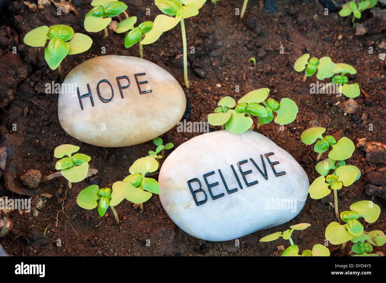 Hope plants hi-res stock photography and images - Alamy