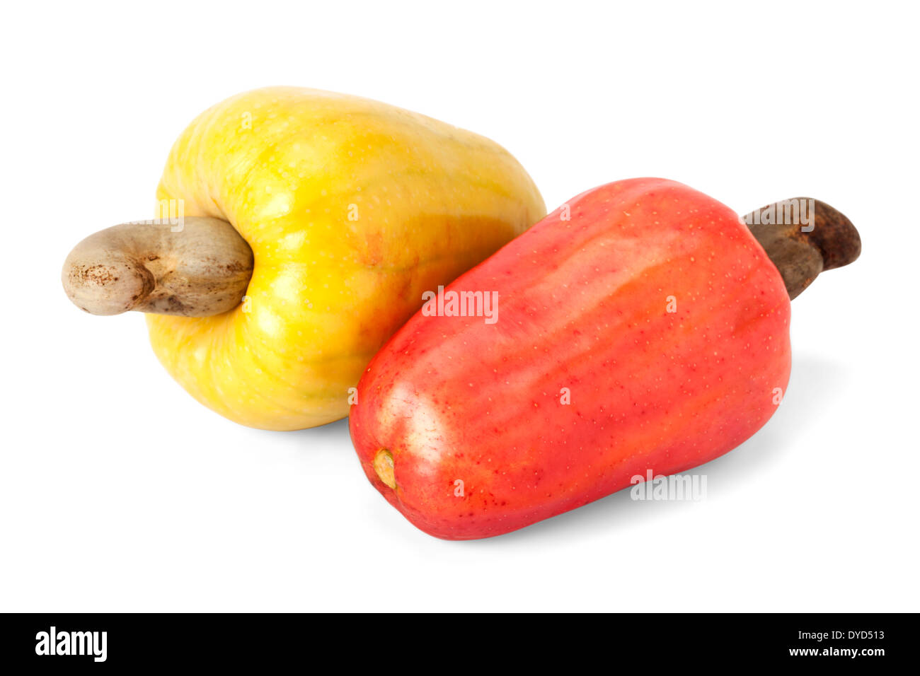 Brazilian caju cashew seed cachoux caju fruit tropical hi-res stock ...