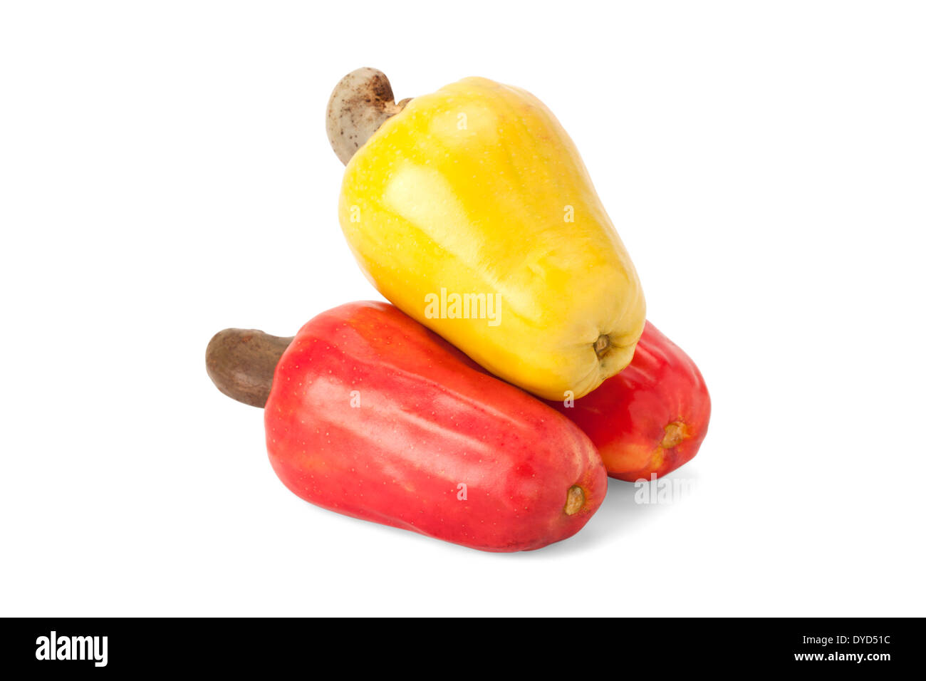 Brazilian caju cashew seed cachoux caju fruit tropical hi-res stock ...