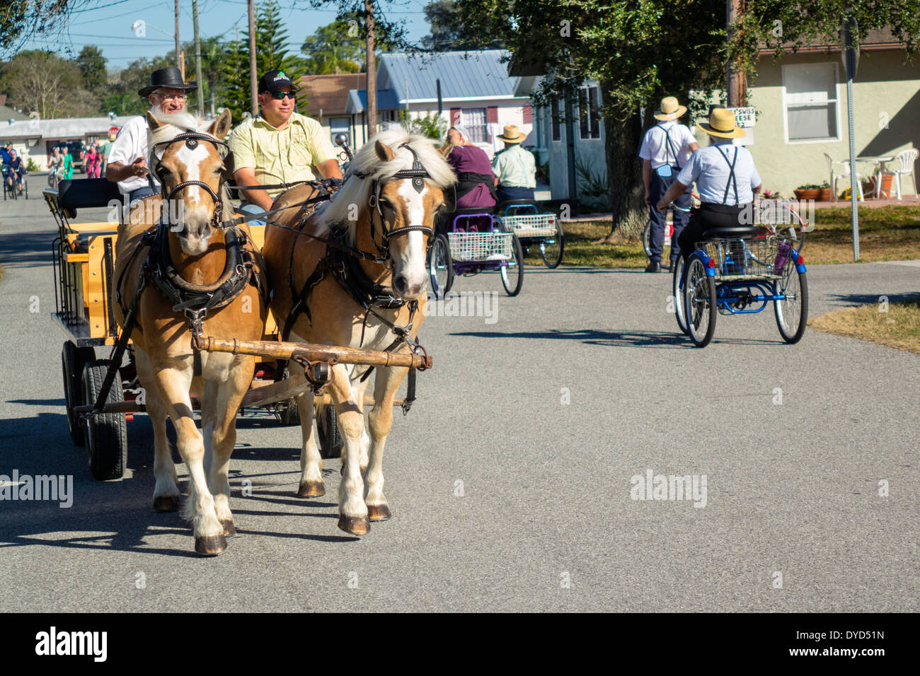 Sarasota florida pinecraft amish hi-res stock photography and images ...