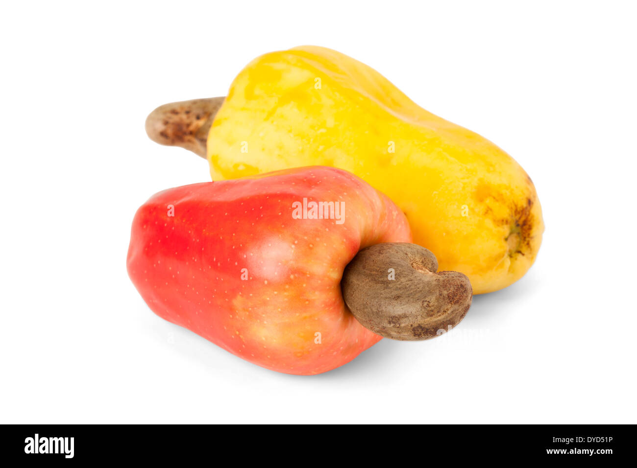 Fresh ripe Brazilian Caju Cashew fruit with path Stock Photo - Alamy