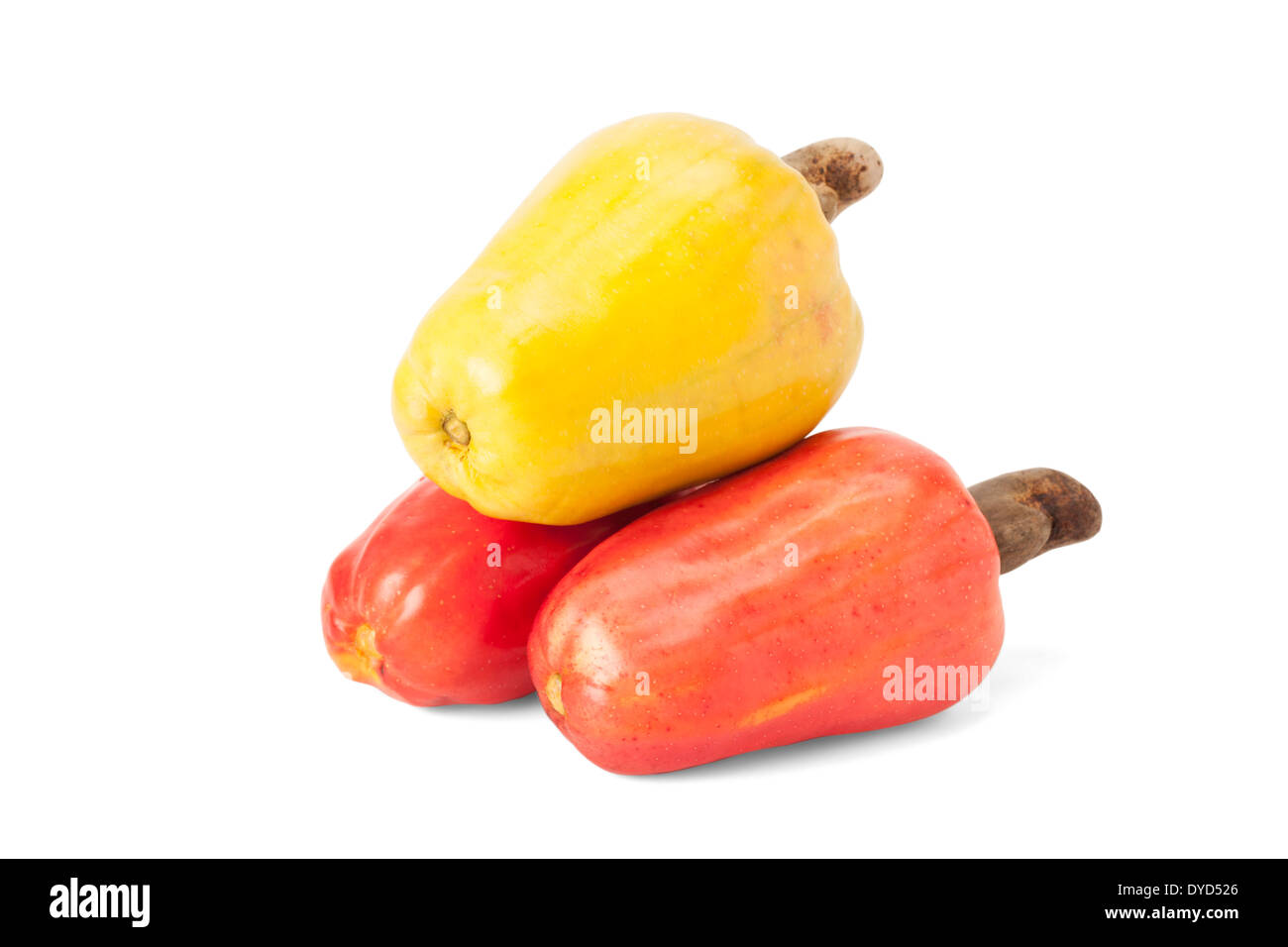 Brazilian caju cashew seed cachoux caju fruit tropical hi-res stock ...