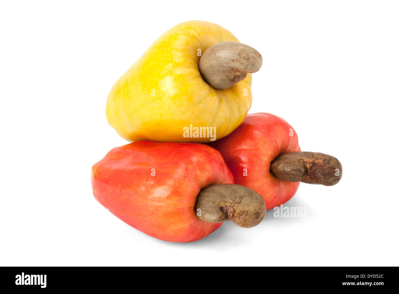 Brazilian caju cashew seed cachoux caju fruit tropical hi-res stock ...