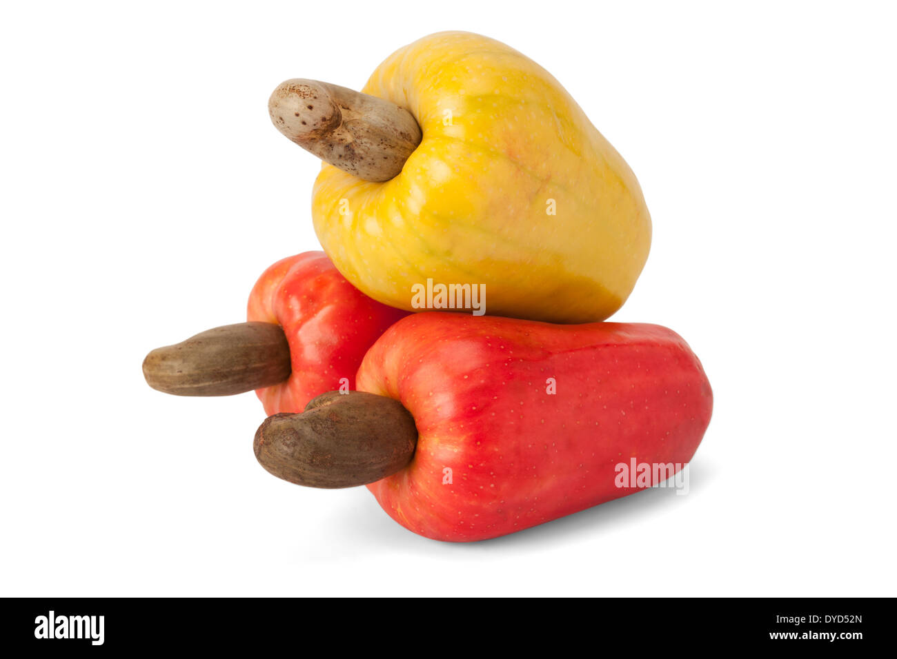 Fresh ripe Brazilian Caju Cashew fruit with path Stock Photo - Alamy