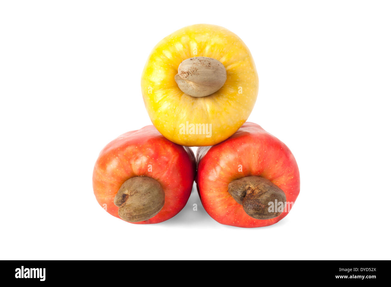Brazilian caju cashew seed cachoux caju fruit tropical hi-res stock ...