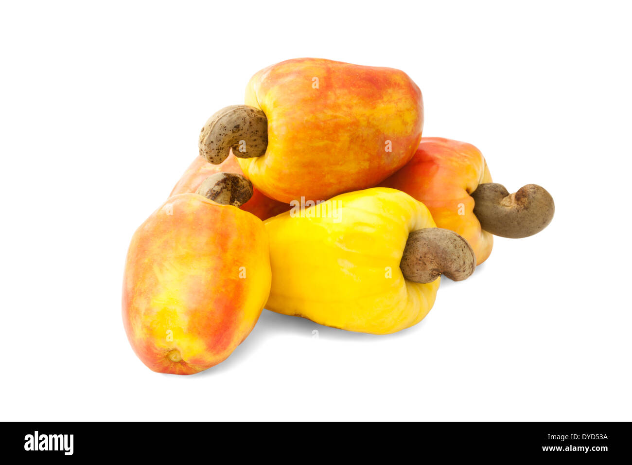 Fresh ripe Brazilian Caju Cashew fruit with path Stock Photo - Alamy