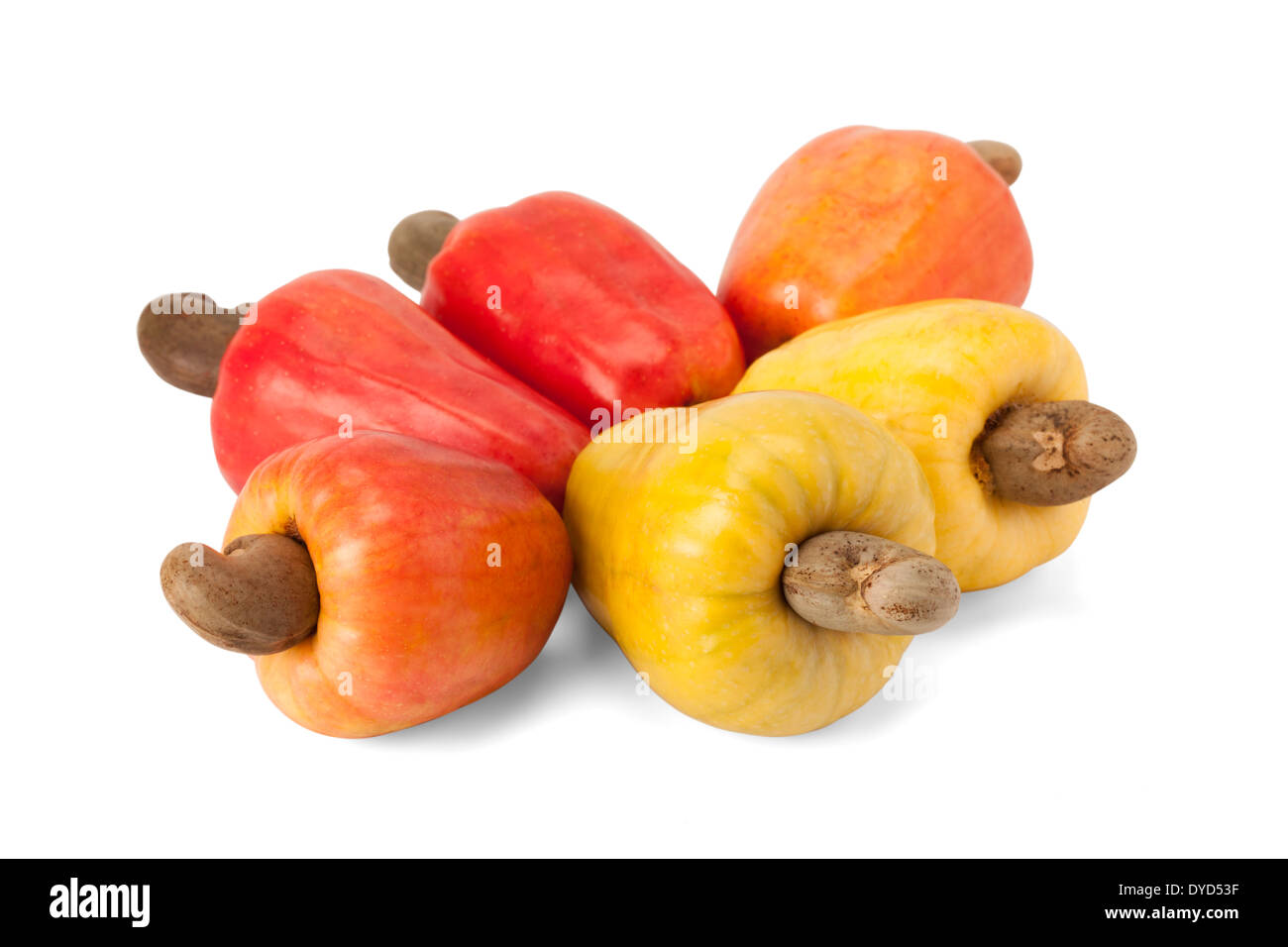 Fresh ripe Brazilian Caju Cashew fruit with path Stock Photo - Alamy