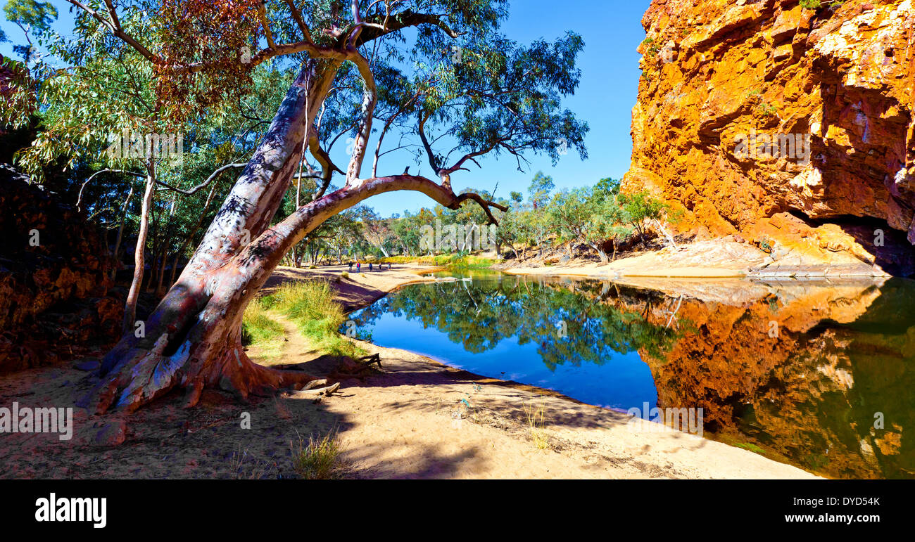 Ormiston Gorge outback landscape water hole reflections landscapes ...