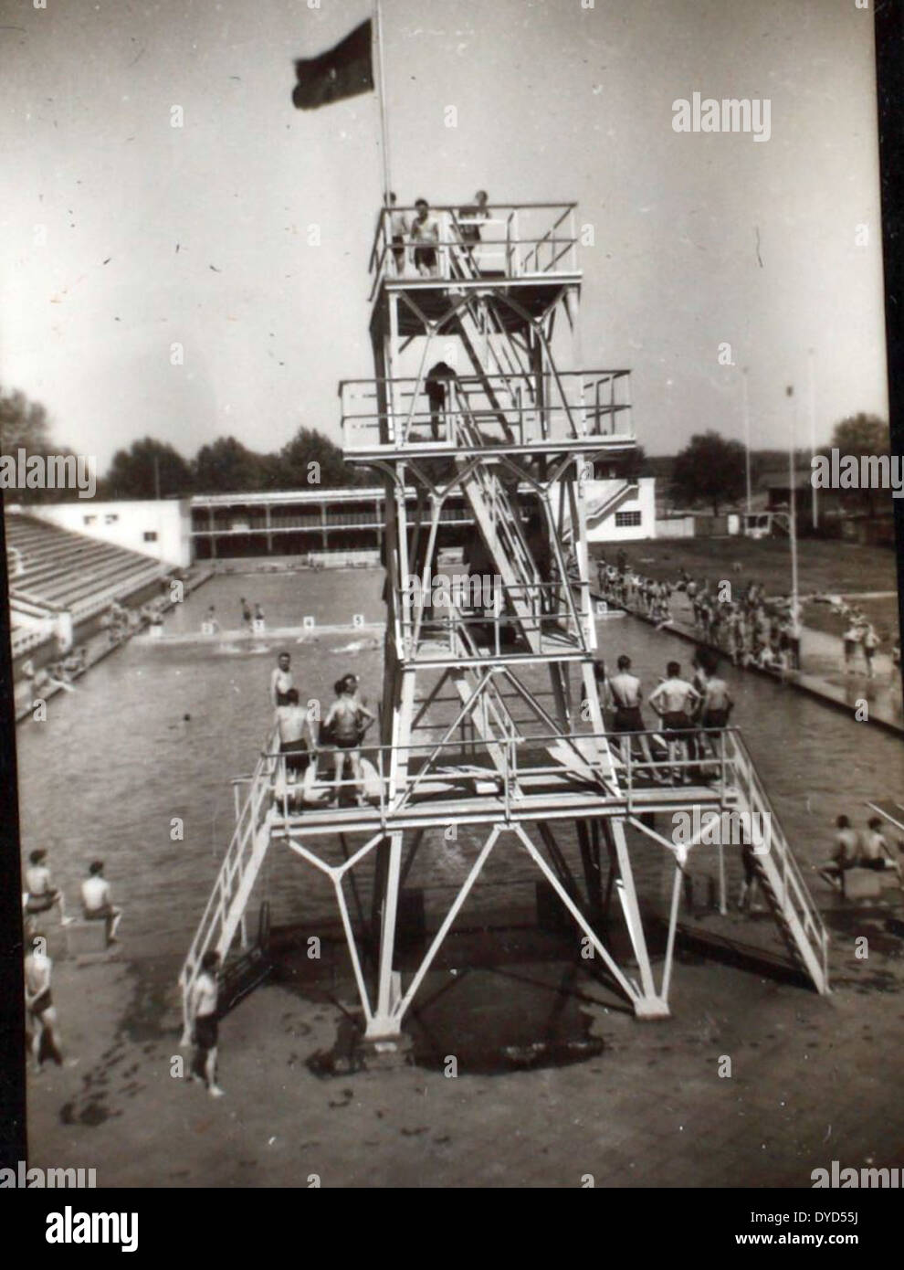 This Hatchard Album photo highlights the 94th Infantry Division's ...