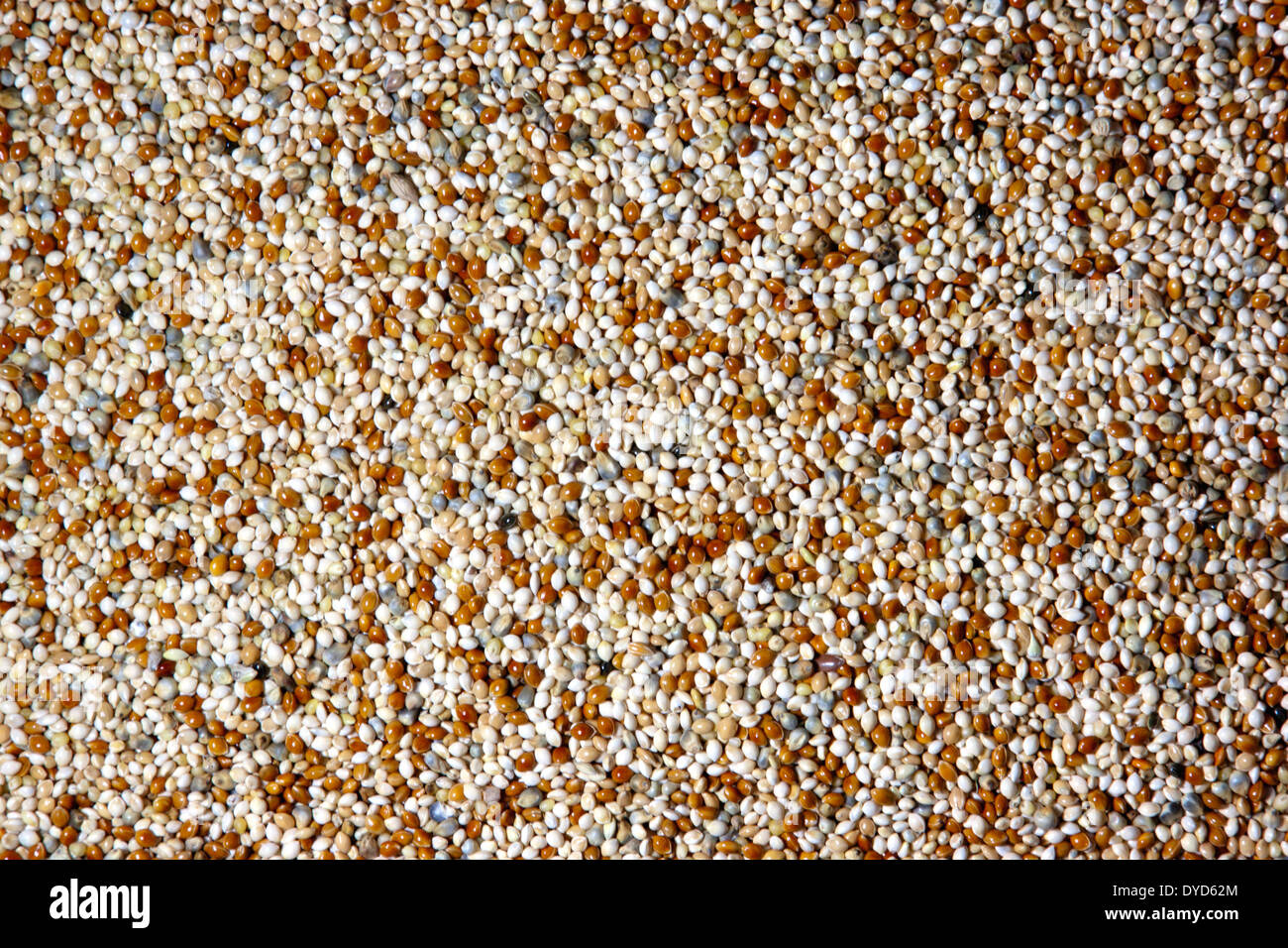 Multi millet mix hi-res stock photography and images - Alamy