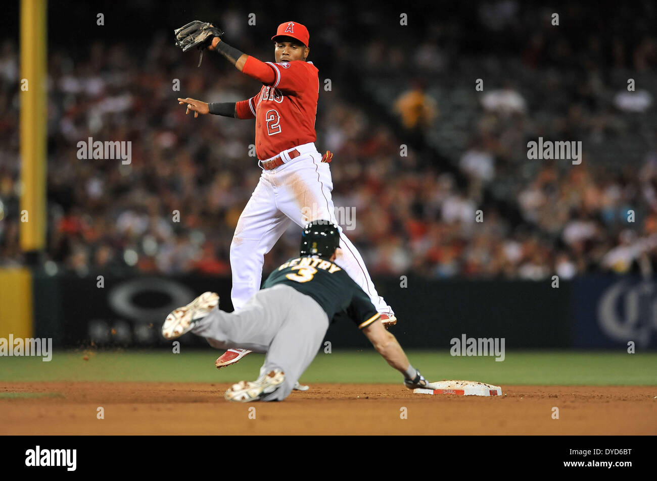 Anaheim, CA. 14th Apr, 2014. Oakland Athletics left fielder Craig ...