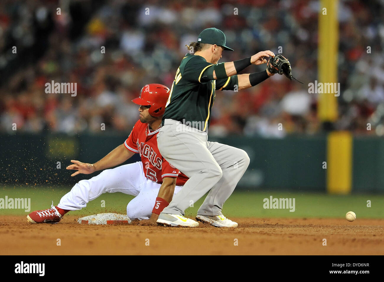 Anaheim, CA. 14th Apr, 2014. Los Angeles Angels first baseman Albert ...