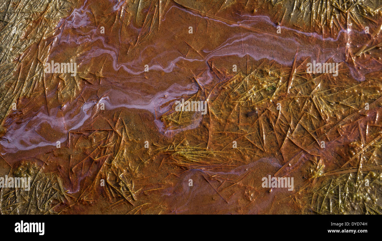 Oil patterns flowing in a natural wetland with grass and sand Stock ...