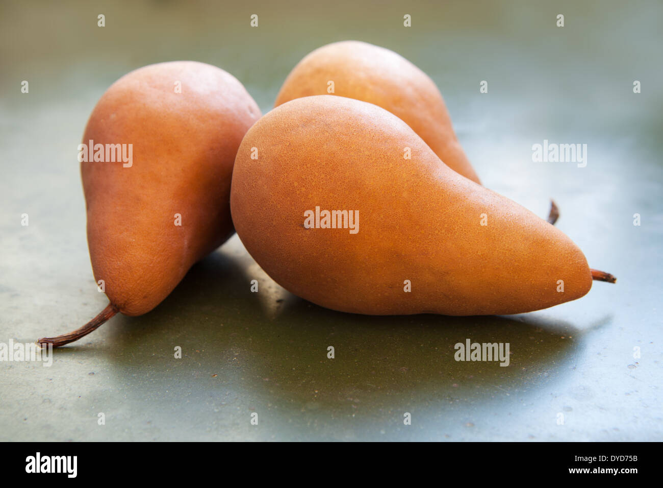 Three ripe bosc pears on a green concrete countertop in natural light ...