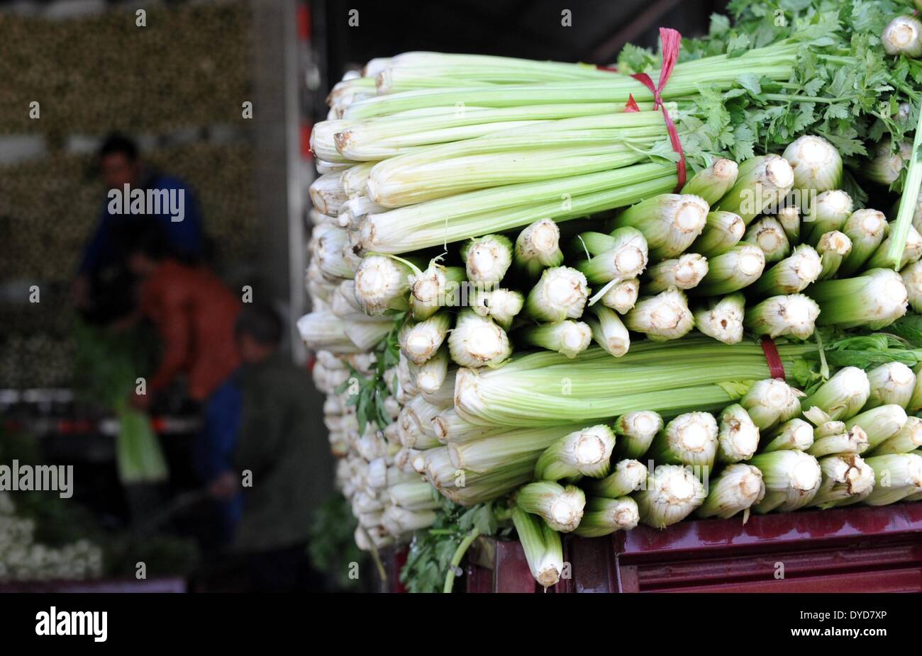 Zhongmou, China's Henan Province. 14th Apr, 2014. Photo taken on April ...