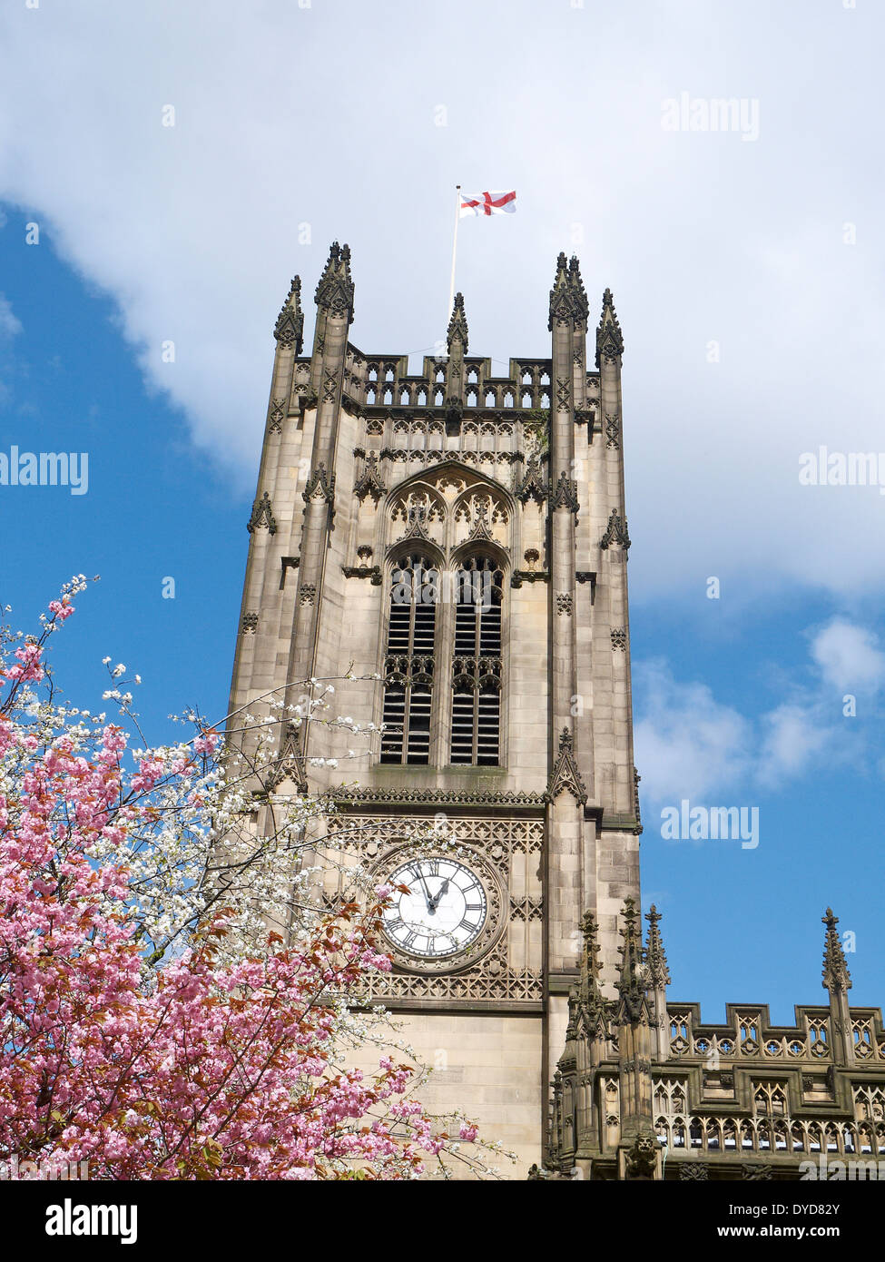 Manchester cathedral clock tower in spring UK Stock Photo - Alamy