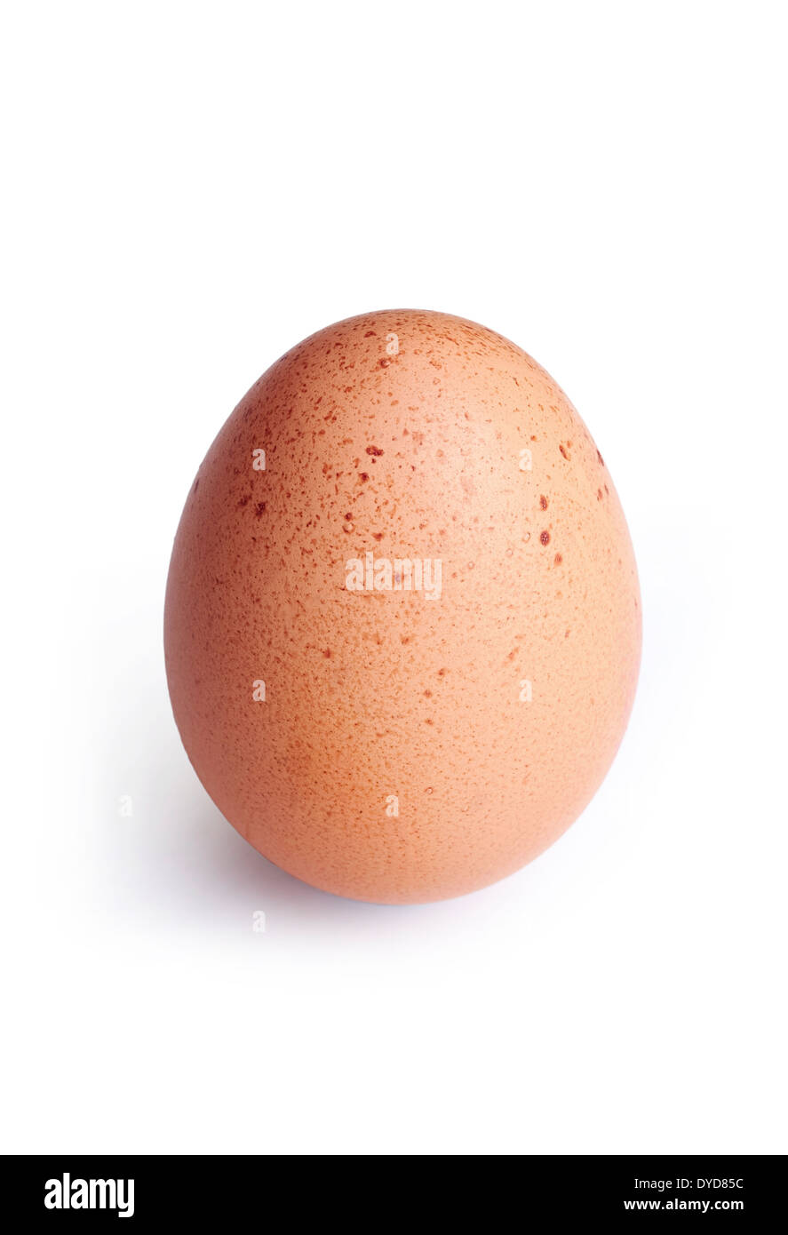 A fresh hens egg with speckles on a white background Stock Photo - Alamy
